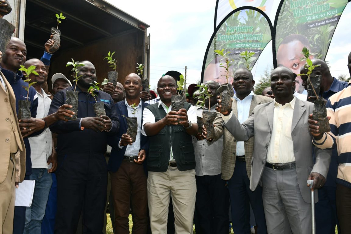 Home - Food Crops - AFA